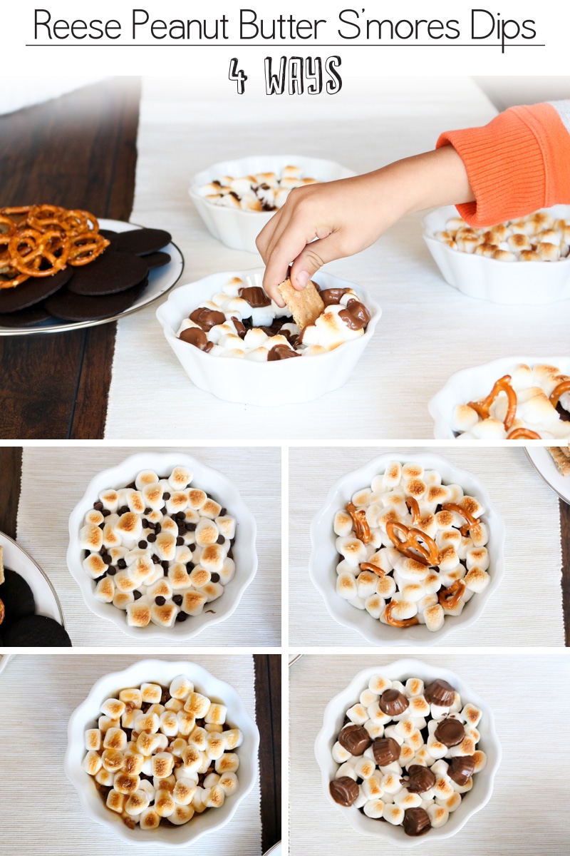 S'mores Dip 4 Ways w Reese Dip