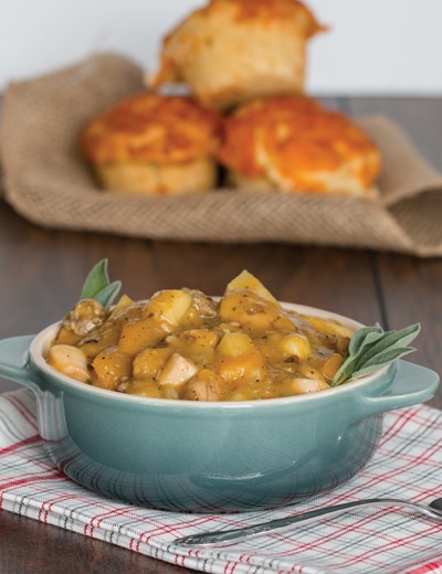 Fall harvest stew loaded with apples, potatoes, parsnips, chicken and ...