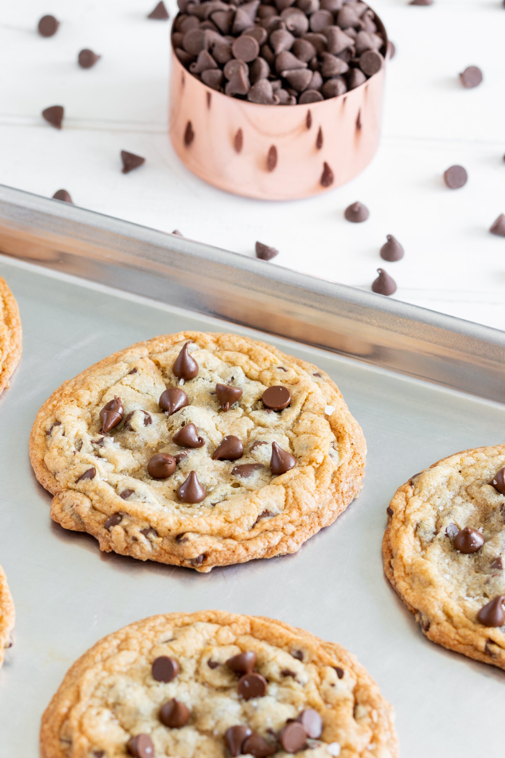 Blue Ribbon Chewy Chocolate Chip Cookies | Kitchen Trials